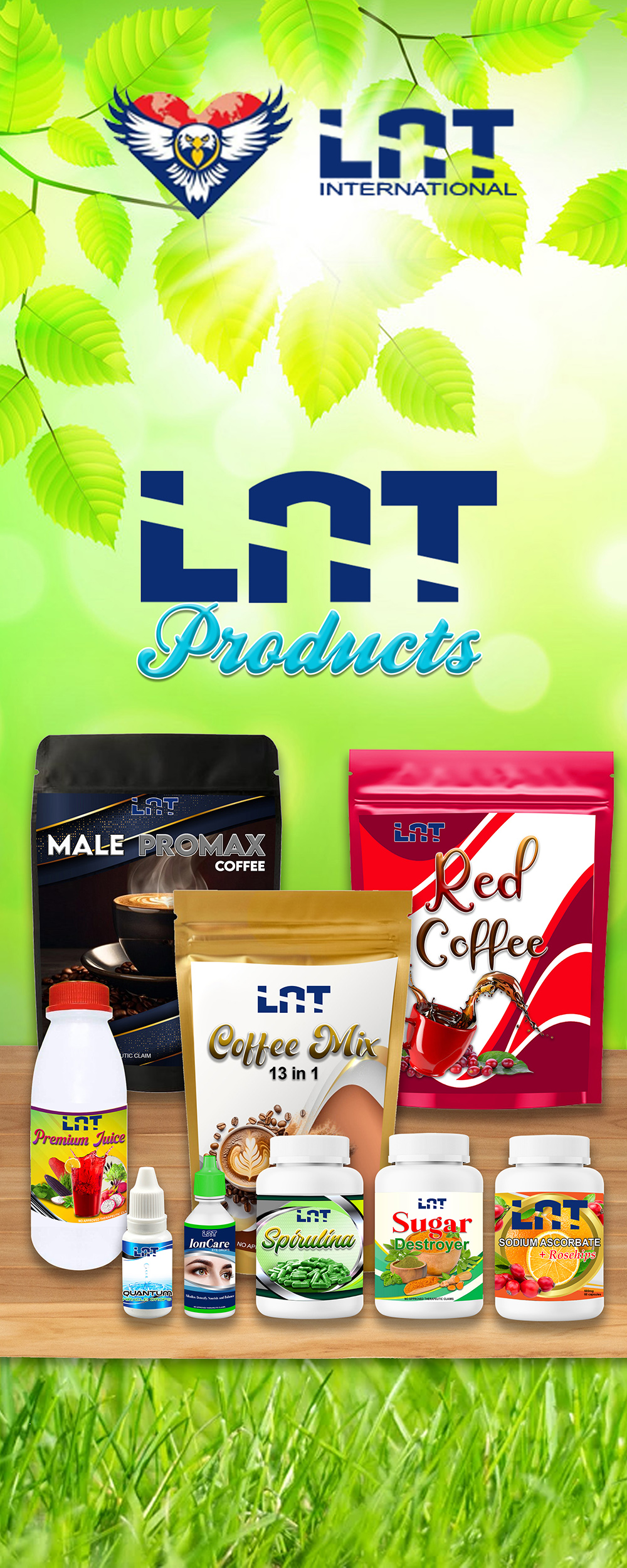 LNT International